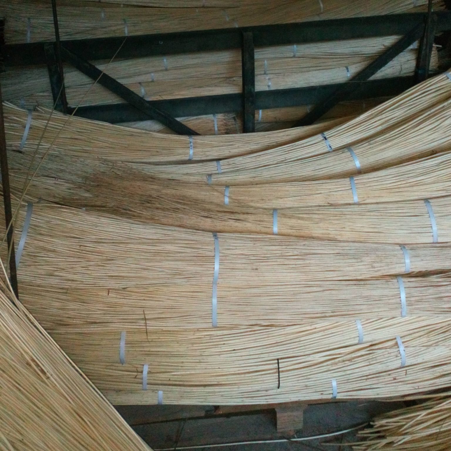 osier blanc ou brut - Vannerie Osier Aurélien Métézeau